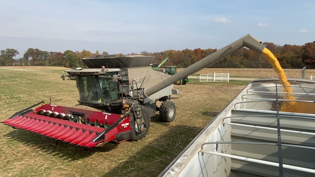More Corn Action! - YouTube