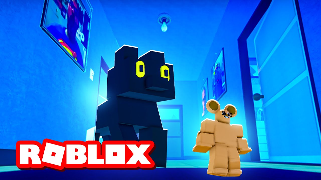 TENTE FUGIR DO GATO MALVADO no Roblox - 😾 (Escape The Cat Game) - YouTube
