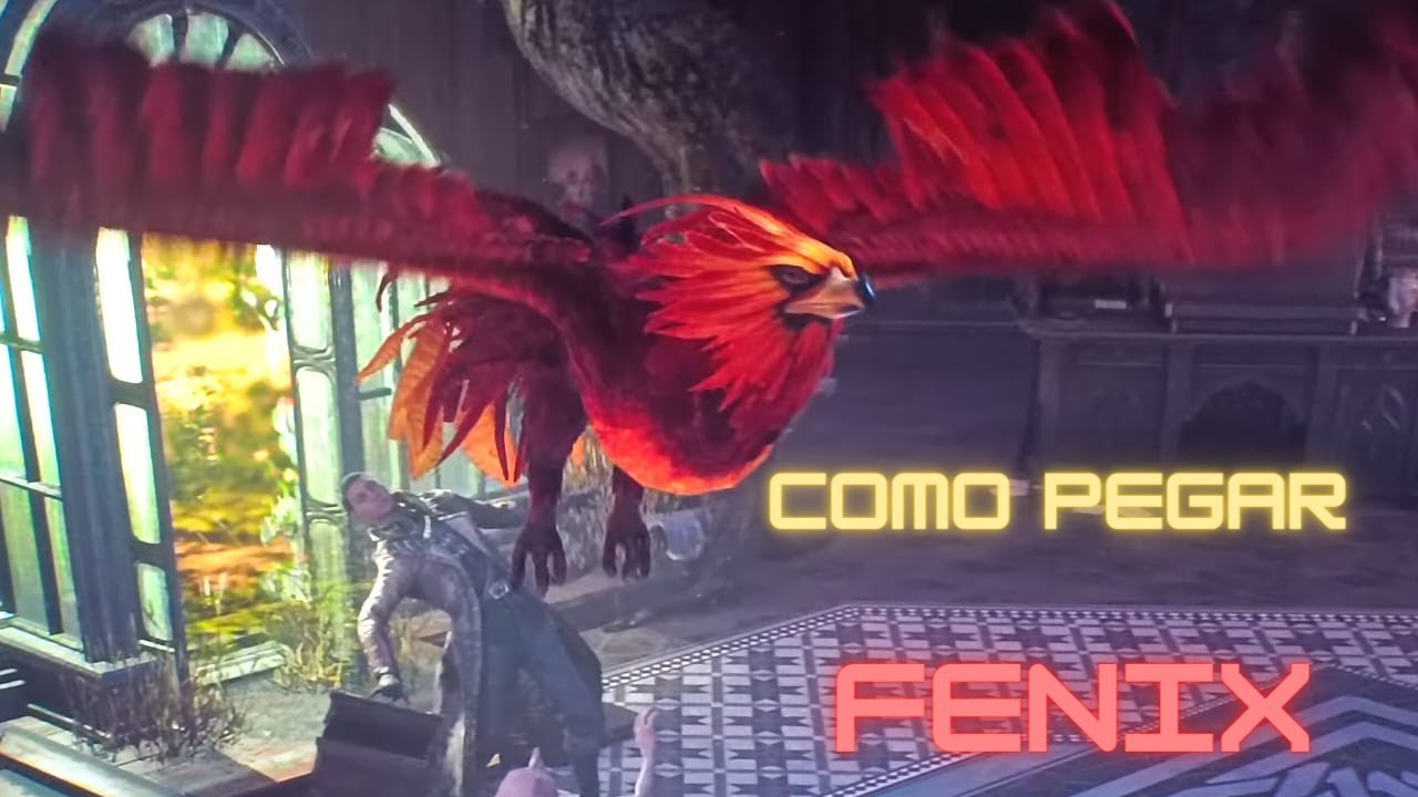 COMO PEGAR A FENIX EM HOGWARTS LEGACY - YouTube