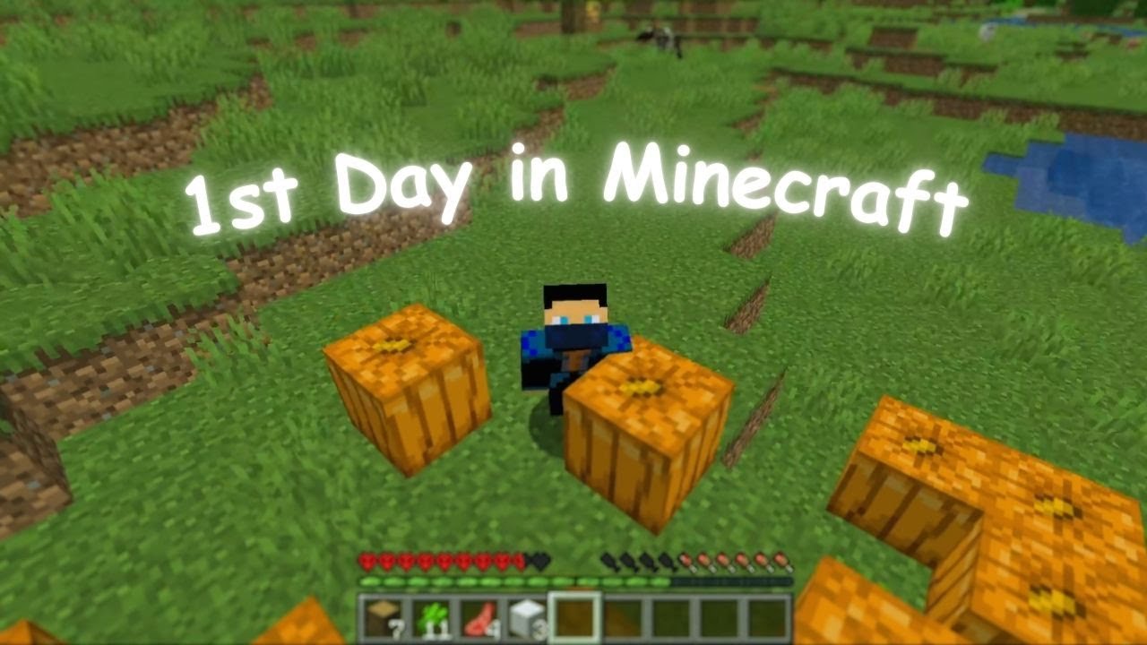 1st Day in Minecraft and I got Thiss!! - YouTube