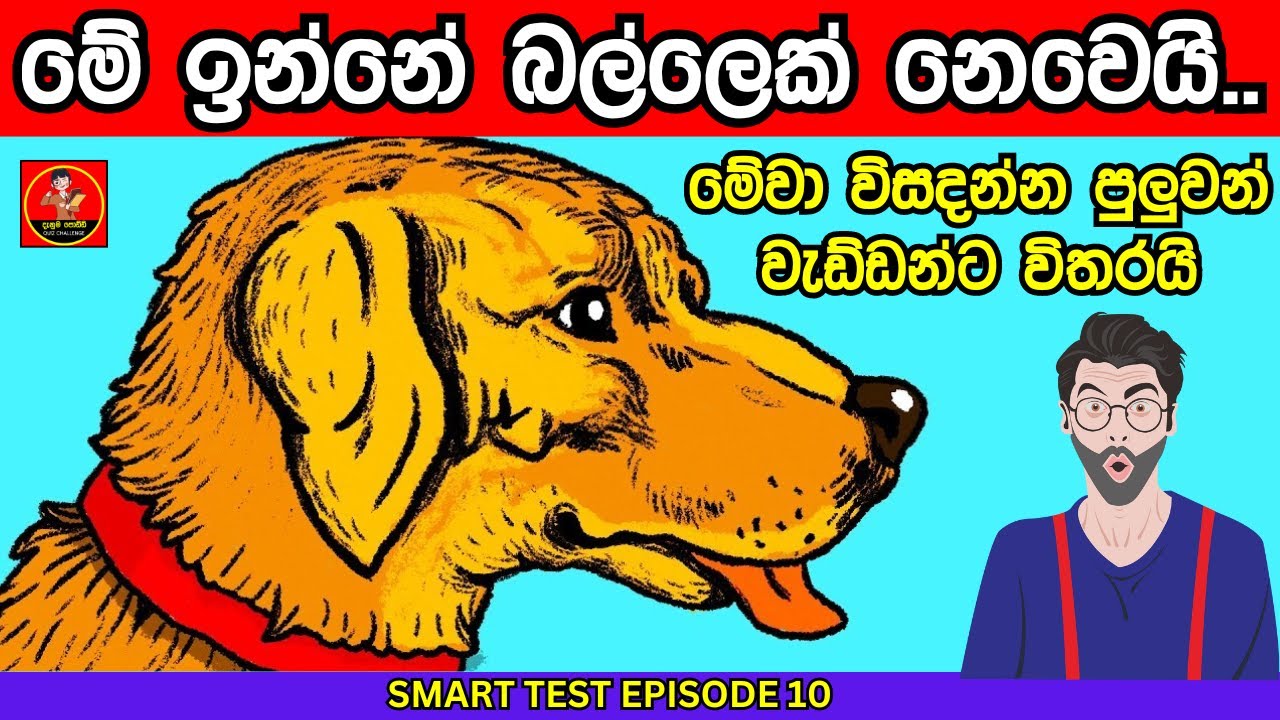 Smart Test Episode 10| මේවා පුලුවන්නම් ඔයා සුපිරිම බුද්ධිමතෙක් 😱 ️ ...