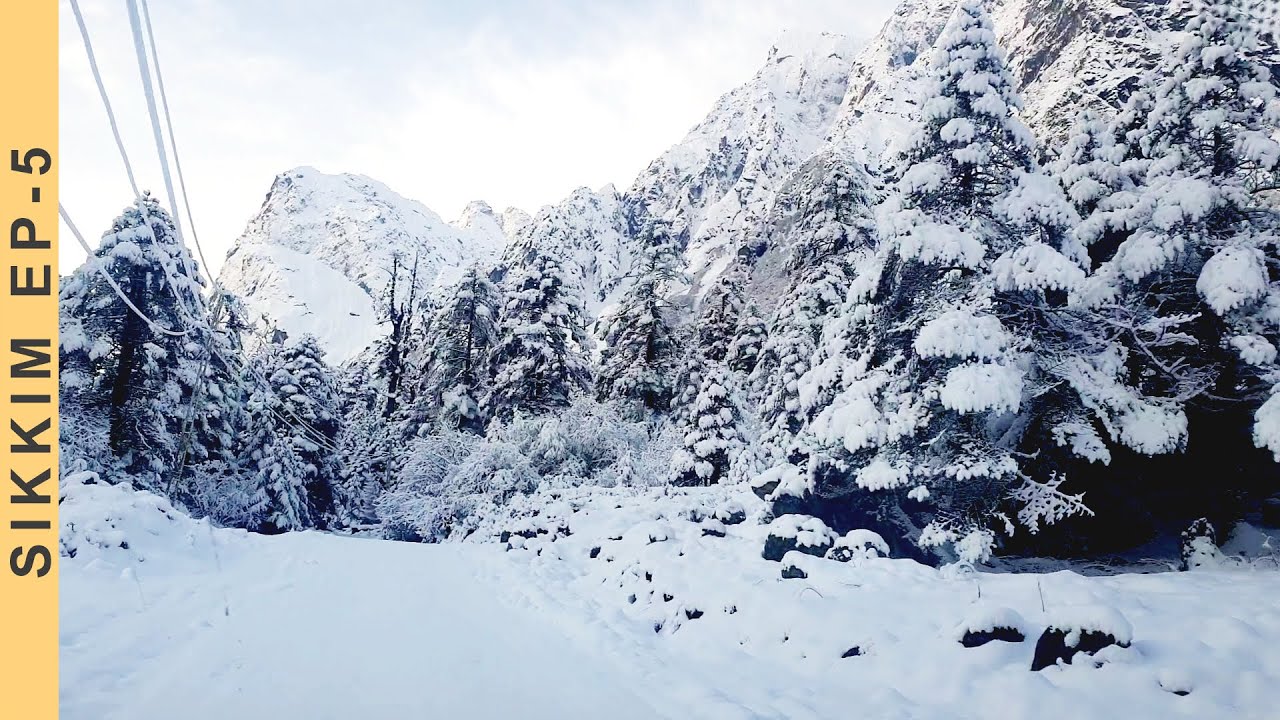 Gangtok to Yumthang Valley North Sikkim Complete Tour | North Sikkim ...
