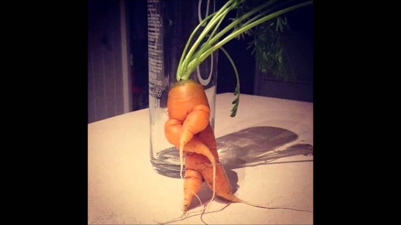 carrot rap - YouTube