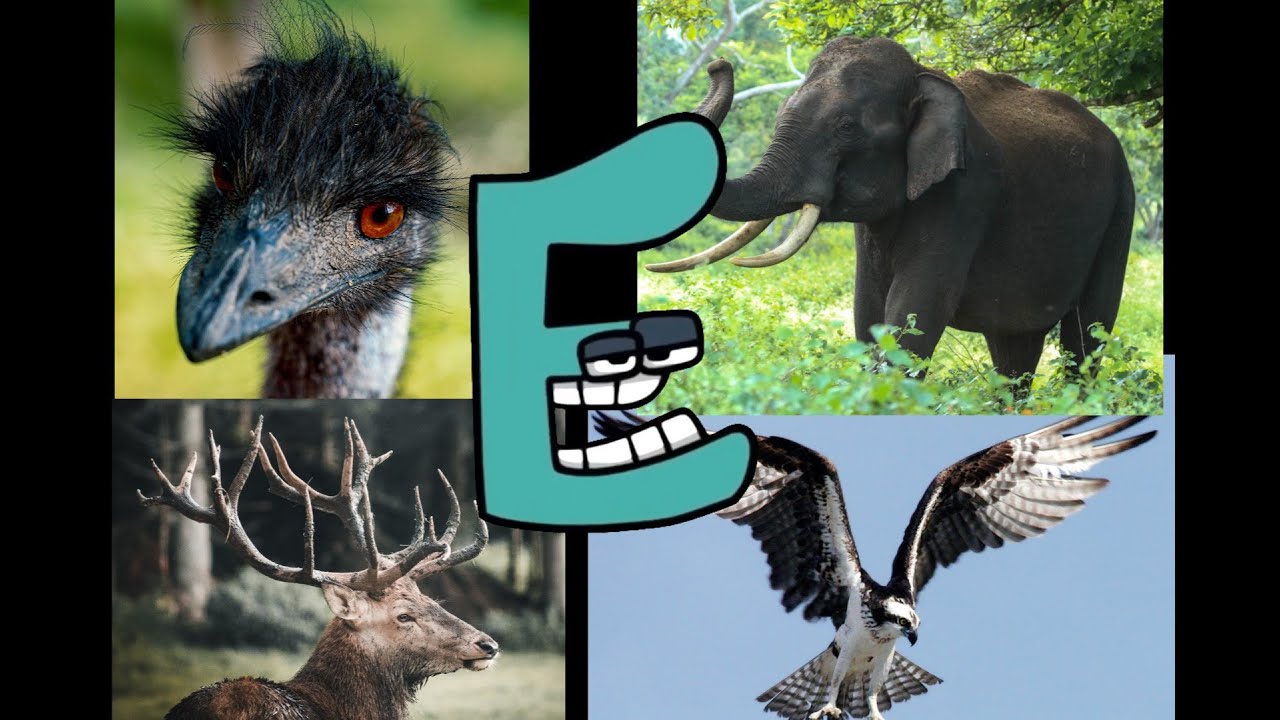 Alphabet Lore But Animals (E) - YouTube