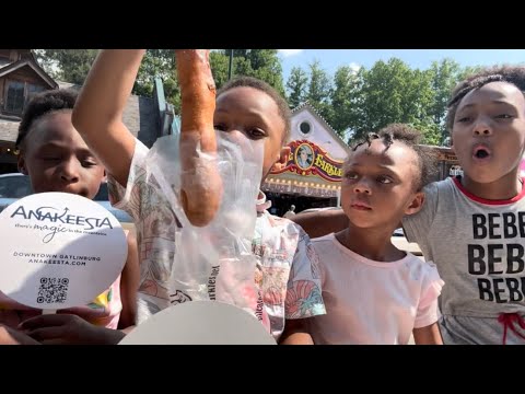 Ogle-Dogs in DownTown Gatlinburg TN.🔥🔥 - YouTube