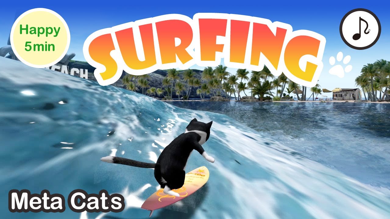 Surfing【bgm Cat Happy】 Youtube