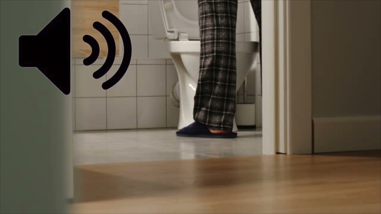 man pee in a toilet sound effect free to use anywhere 44100Hz Mono, 32 ...