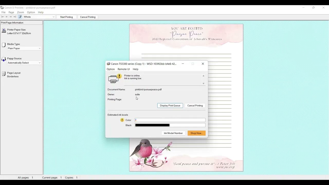 How To Print Borderless Format From FsultesArt YouTube