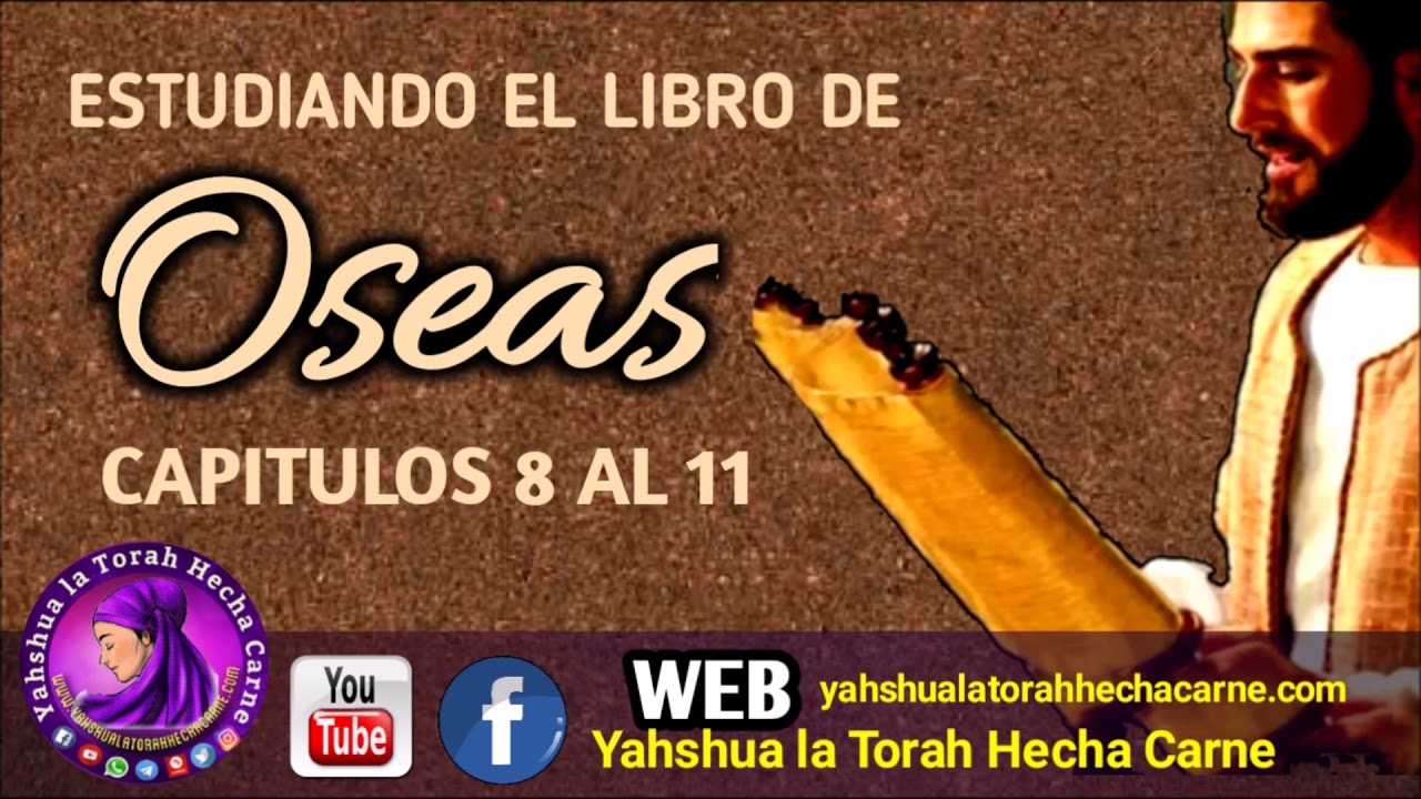 ESTUDIANDO EL LIBRO DE OSEAS CAPITULOS 8 AL 11 Yahshua la Torah Hecha Carne - YouTube