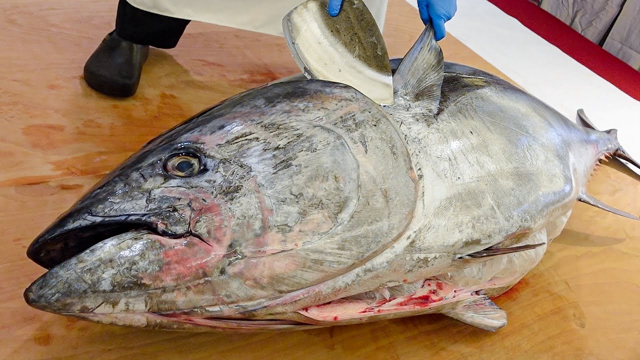 WOW! Giant Bluefin Tuna Cutting Show at Exquisite Hotel / 黑鮪魚切割秀 ...