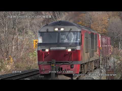 JR貨物 EH800形とDF200形機関車 JR Freight EH800 and DF200 locomotives - YouTube