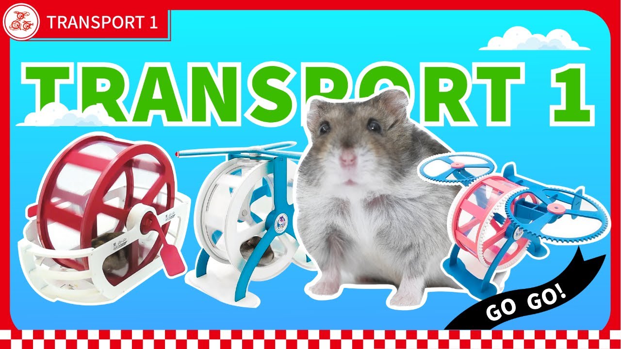 Hamster Diy Car Toys - Amazing Hamsters Go Go Go 🐹 - YouTube