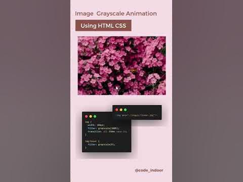 Image grayscale animation using HTML and CSS - YouTube