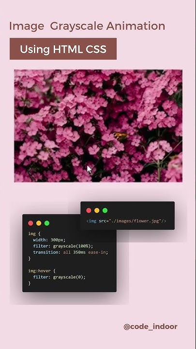 Image grayscale animation using HTML and CSS - YouTube