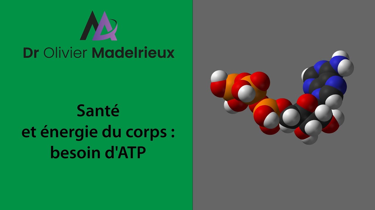 Neurosciences et énergie du corps 4/10 : à quoi sert l'ATP ? - YouTube