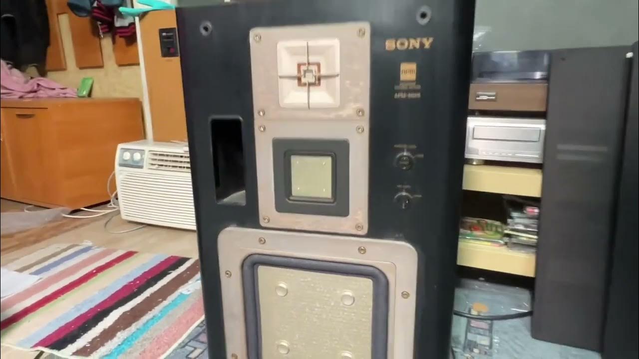 Sony apm-66 es - YouTube