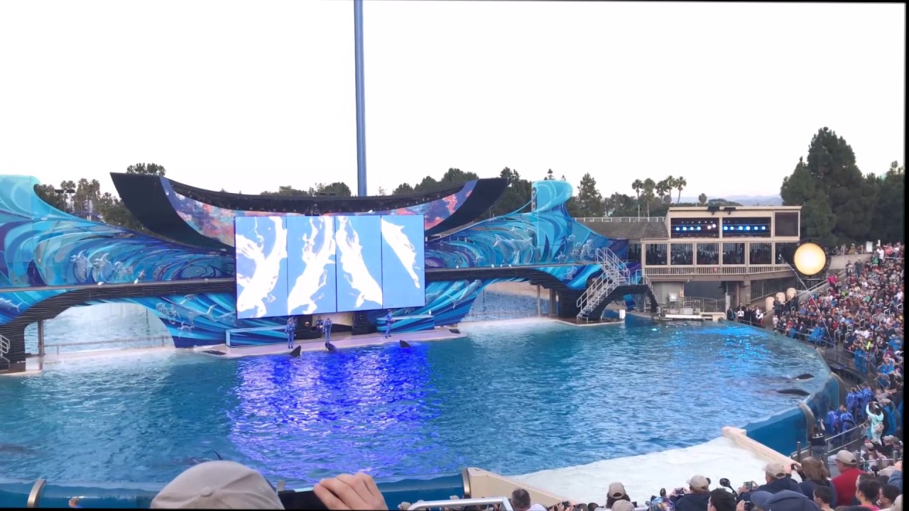 1-8-2017 Finale One Ocean Show - YouTube