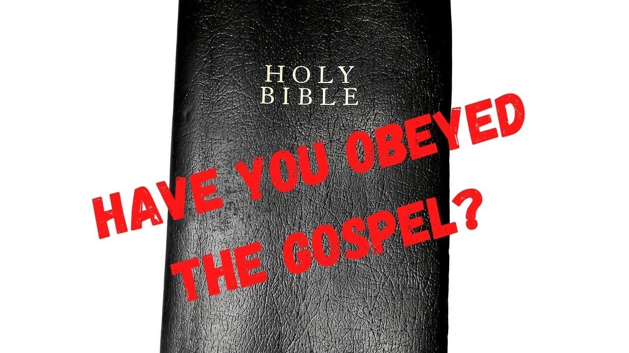 How to obey the gospel of Jesus Christ - YouTube