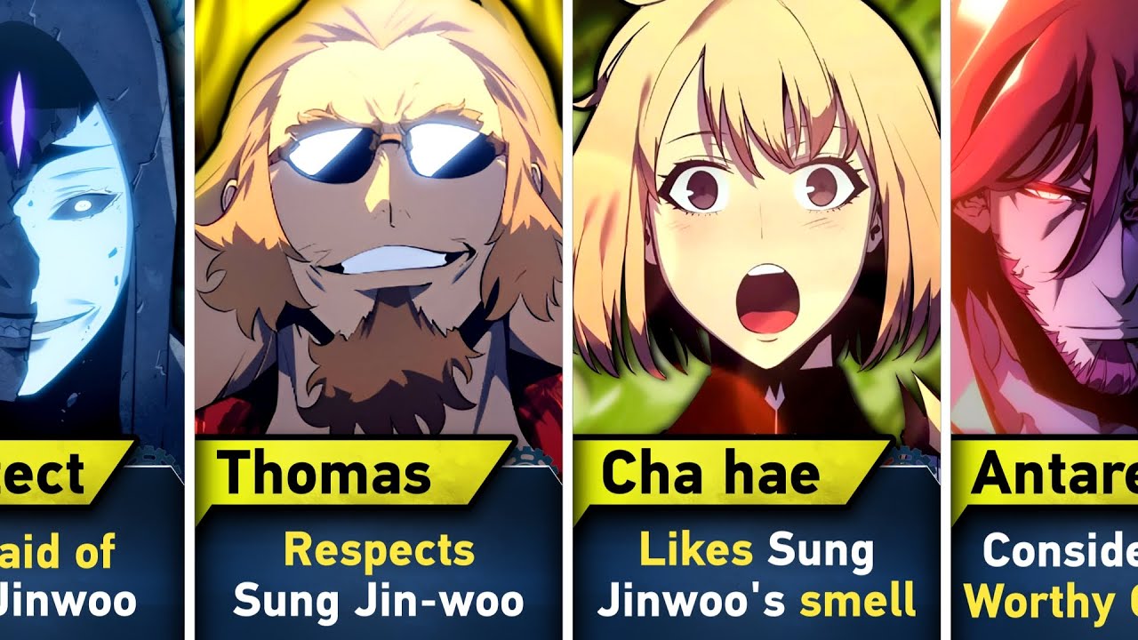 WHAT OTHER CHARACTERS FEEL ABOUT SUNG JINWOO | SOLO LEVELING - YouTube