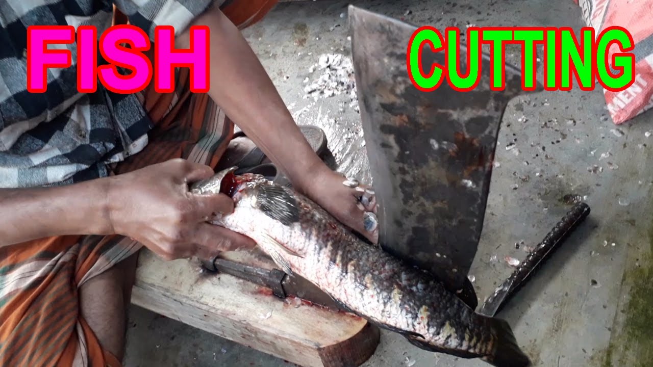 Amazing Live 'SHOL FISH' Cutting Skills by Fish Cutter in Fish Market ...