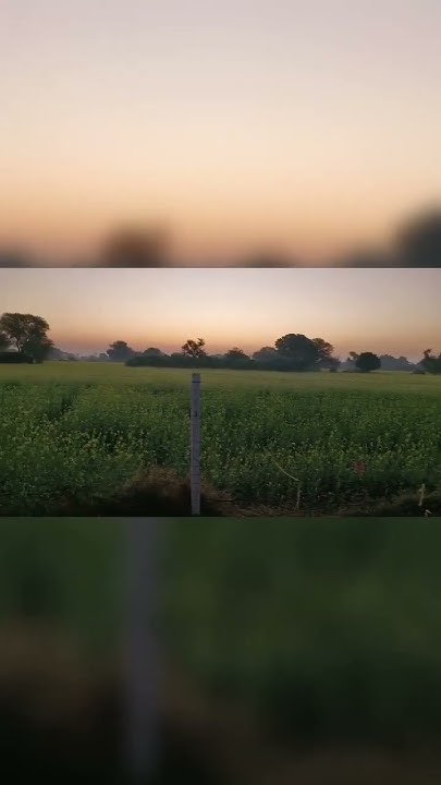 Dharti sunhari Ambar Neela hamare gaon ka gaon ke khet - YouTube