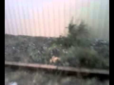 Severe storm, Whyalla SA Part 2.3gp - YouTube