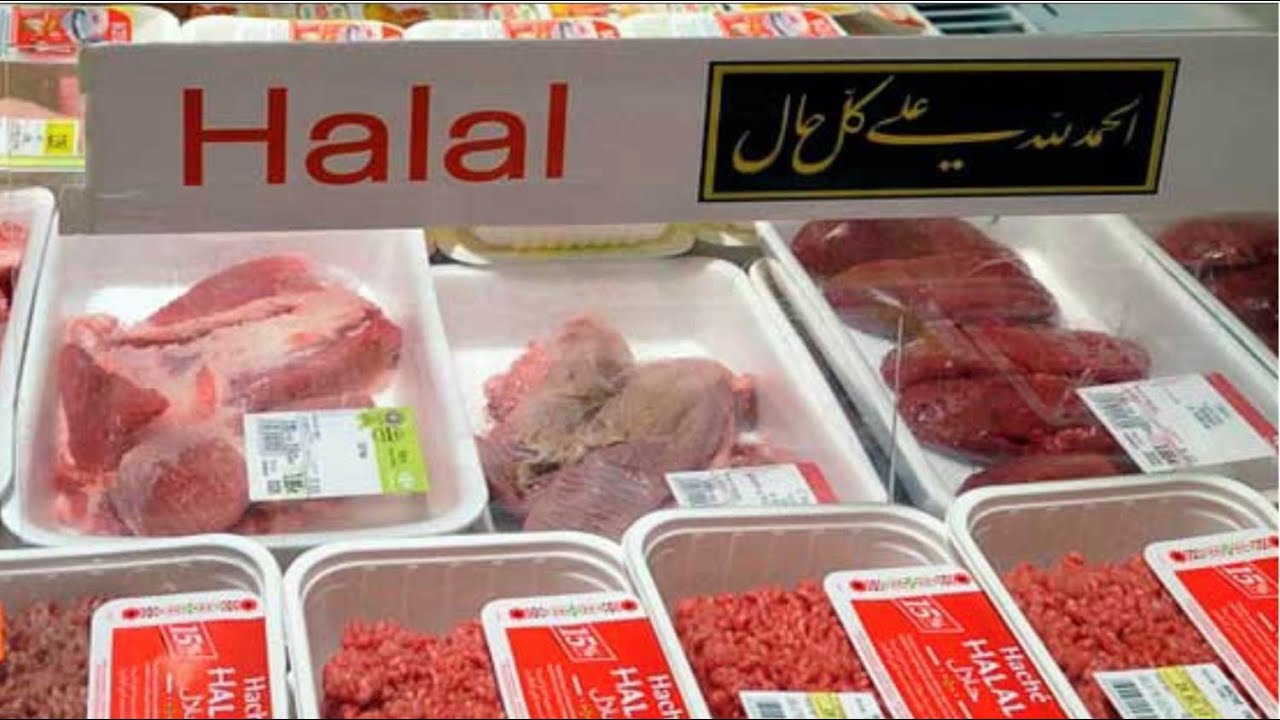 Brasil é lider em exportações com certificação Halal - YouTube