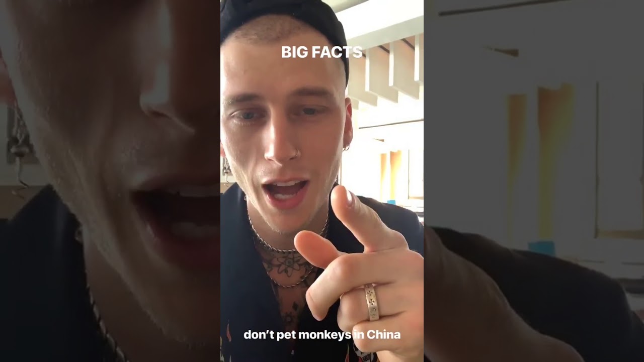 Machine Gun Kelly instagram story - YouTube