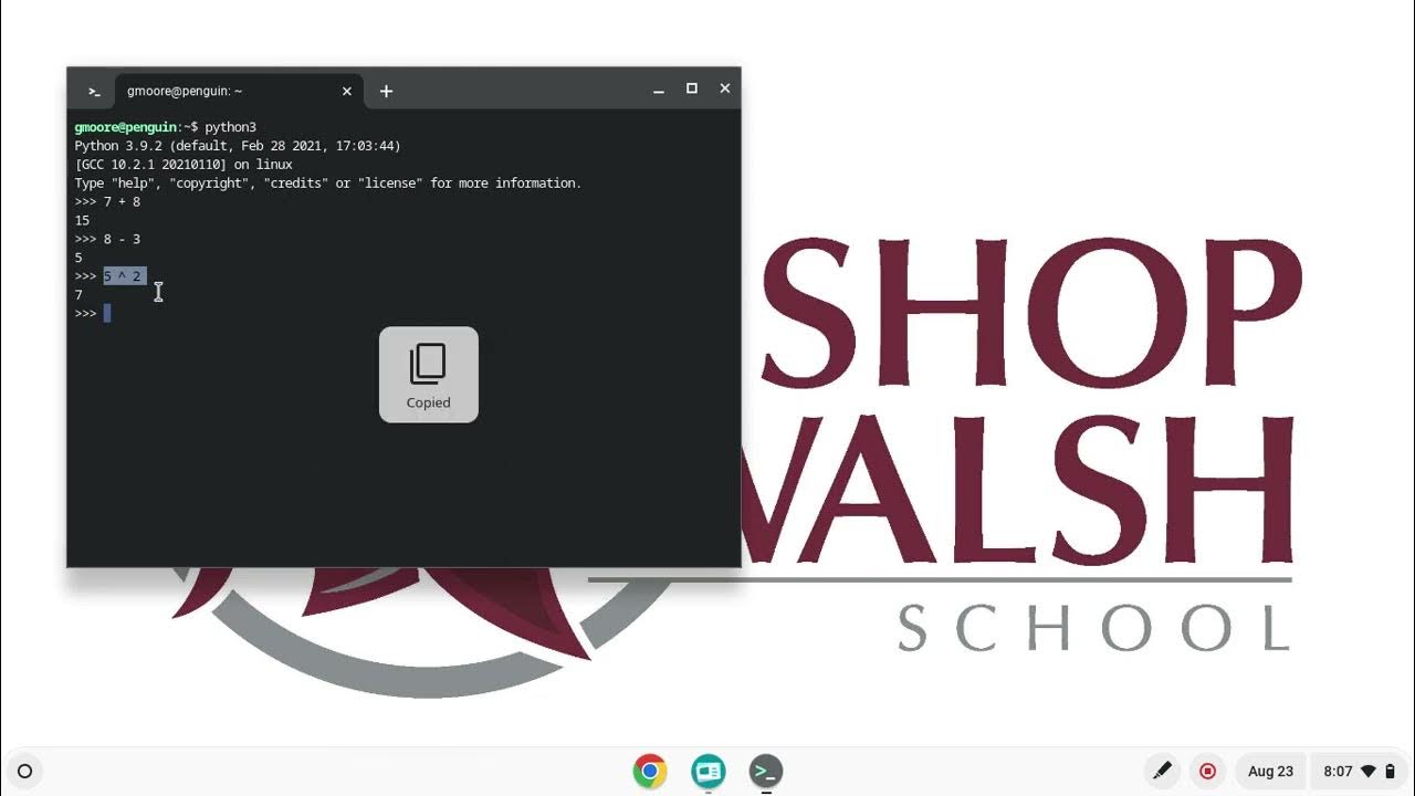 3: Interacting with Python - YouTube