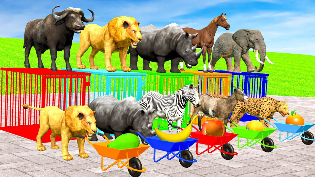 Wild Animal Games Choose The Right Iron Cage Eat Fruits Challenge With ...