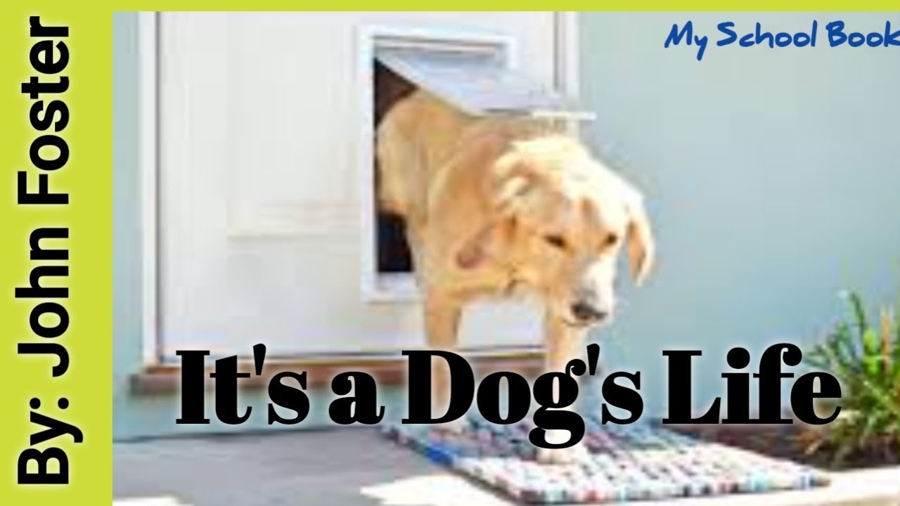🐕It's a Dog's Life | By: John Foster | #recitation #poem #ncert #grade8 ...