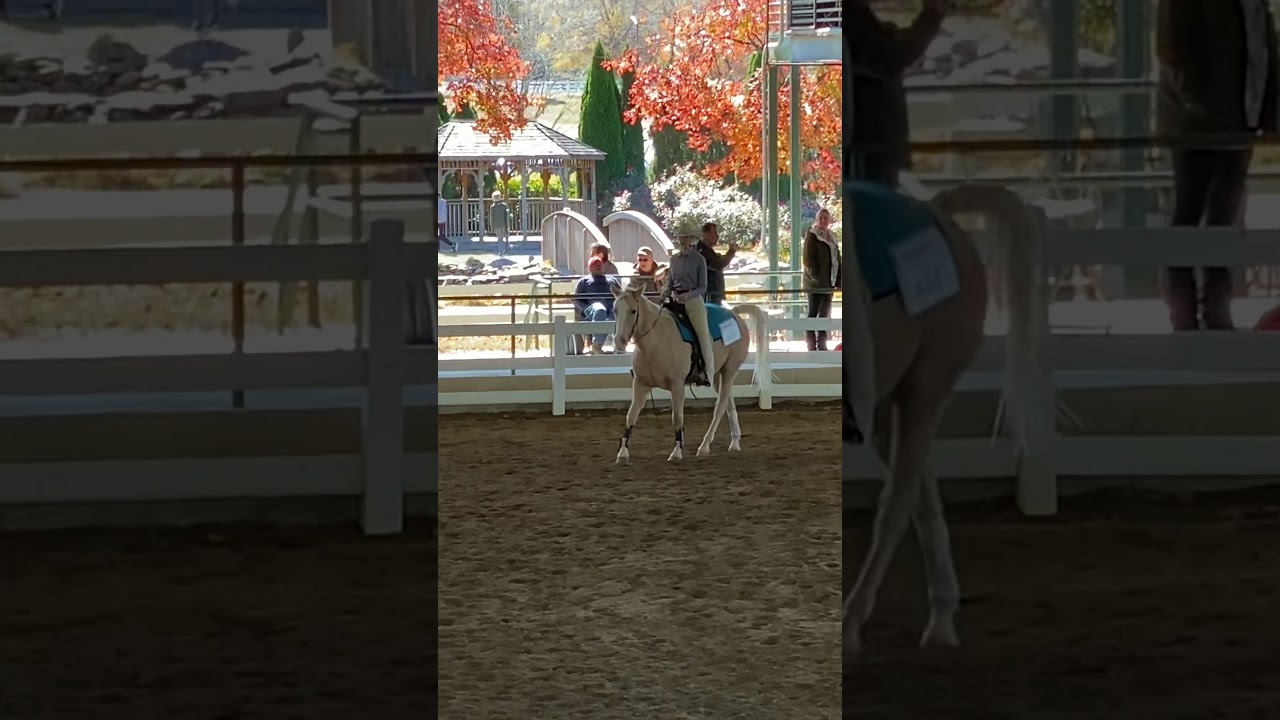 IEA JV Novice Horsemanship 2021 - YouTube