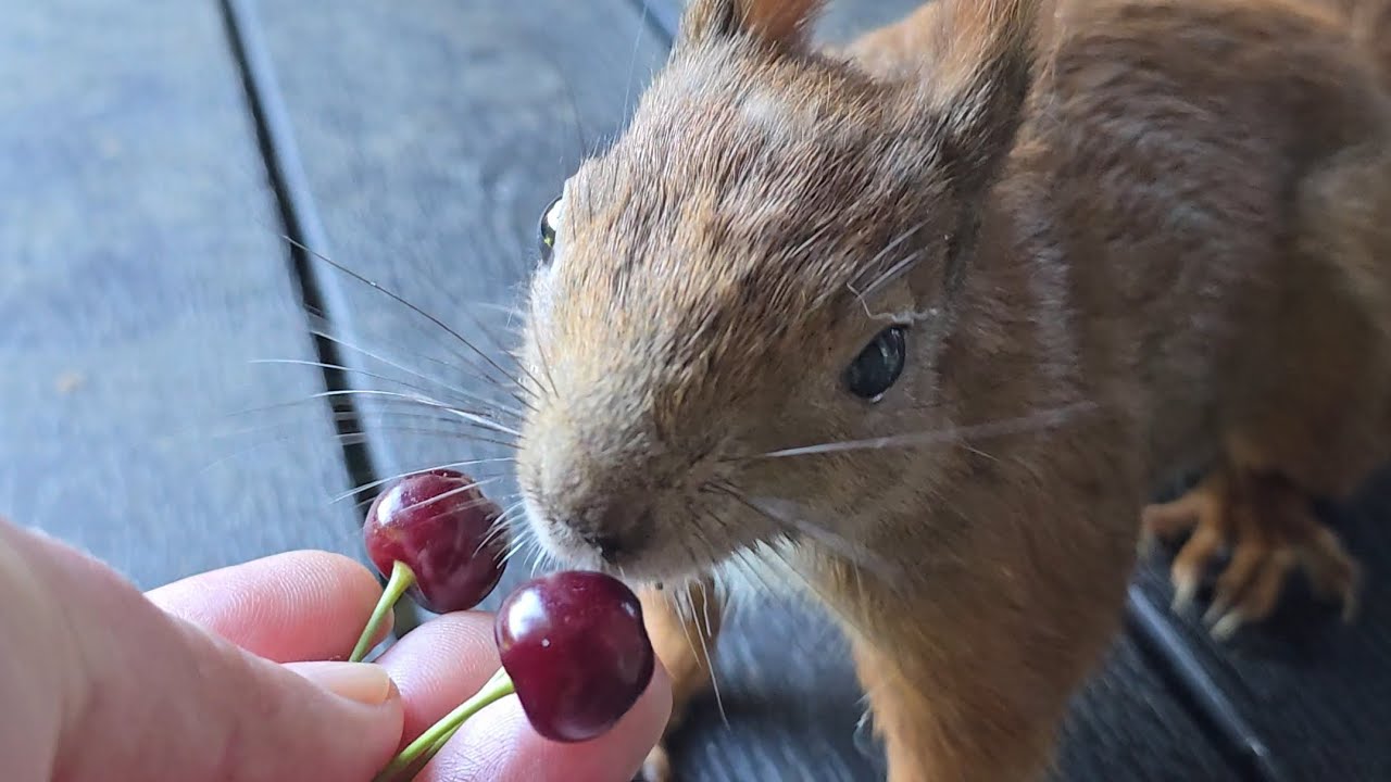 June 25, 2024 - YouTube