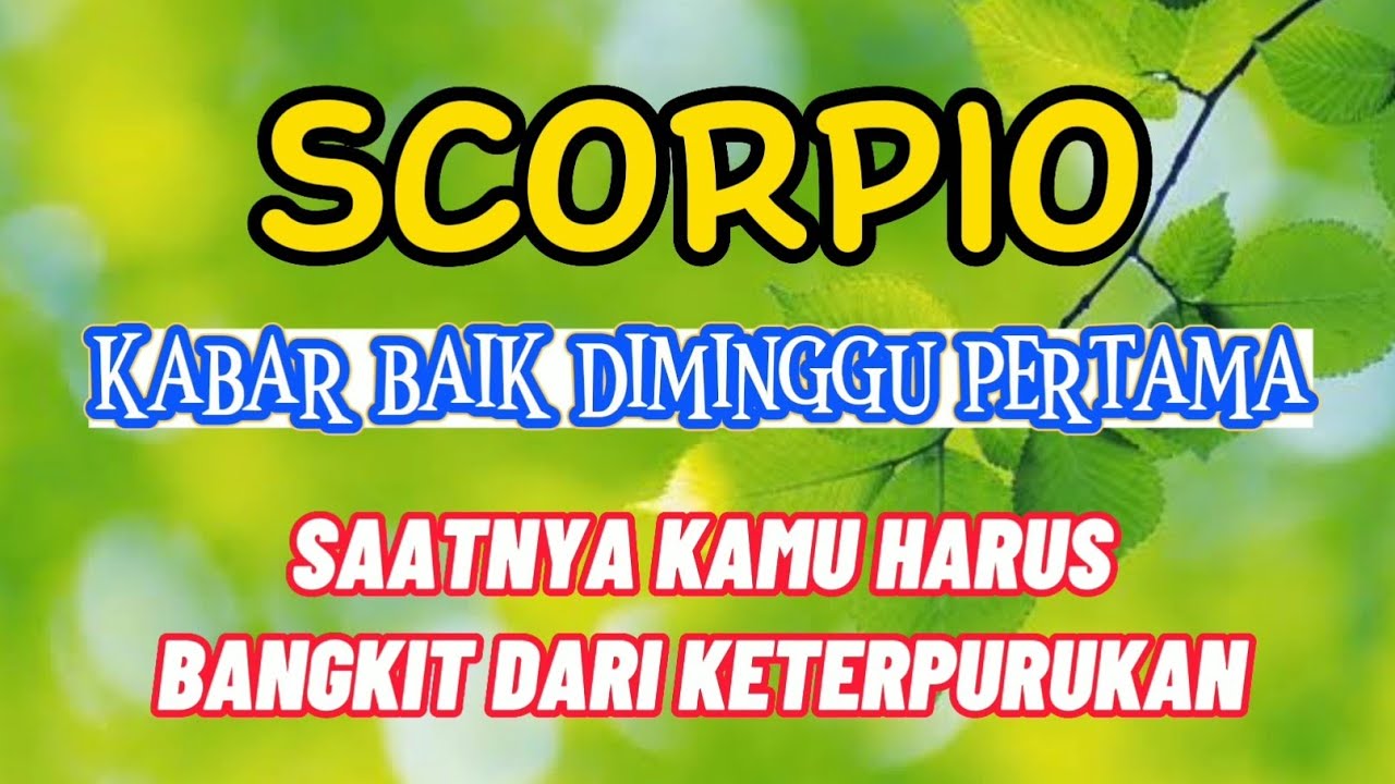 RAMALAN ZODIAK SCORPIO HARI INI | SAATNYA KAMU HARUS BANGKIT DARI ...