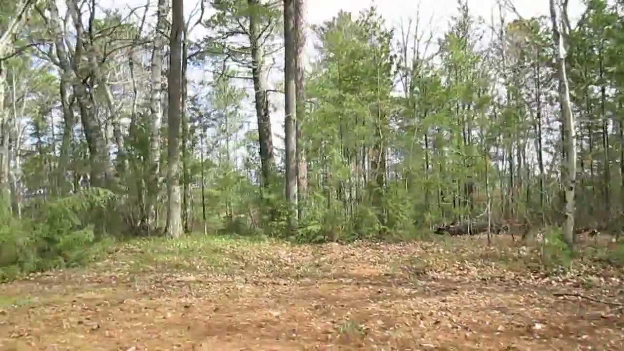 Lake Superior State Forest Campground in Michigan - YouTube