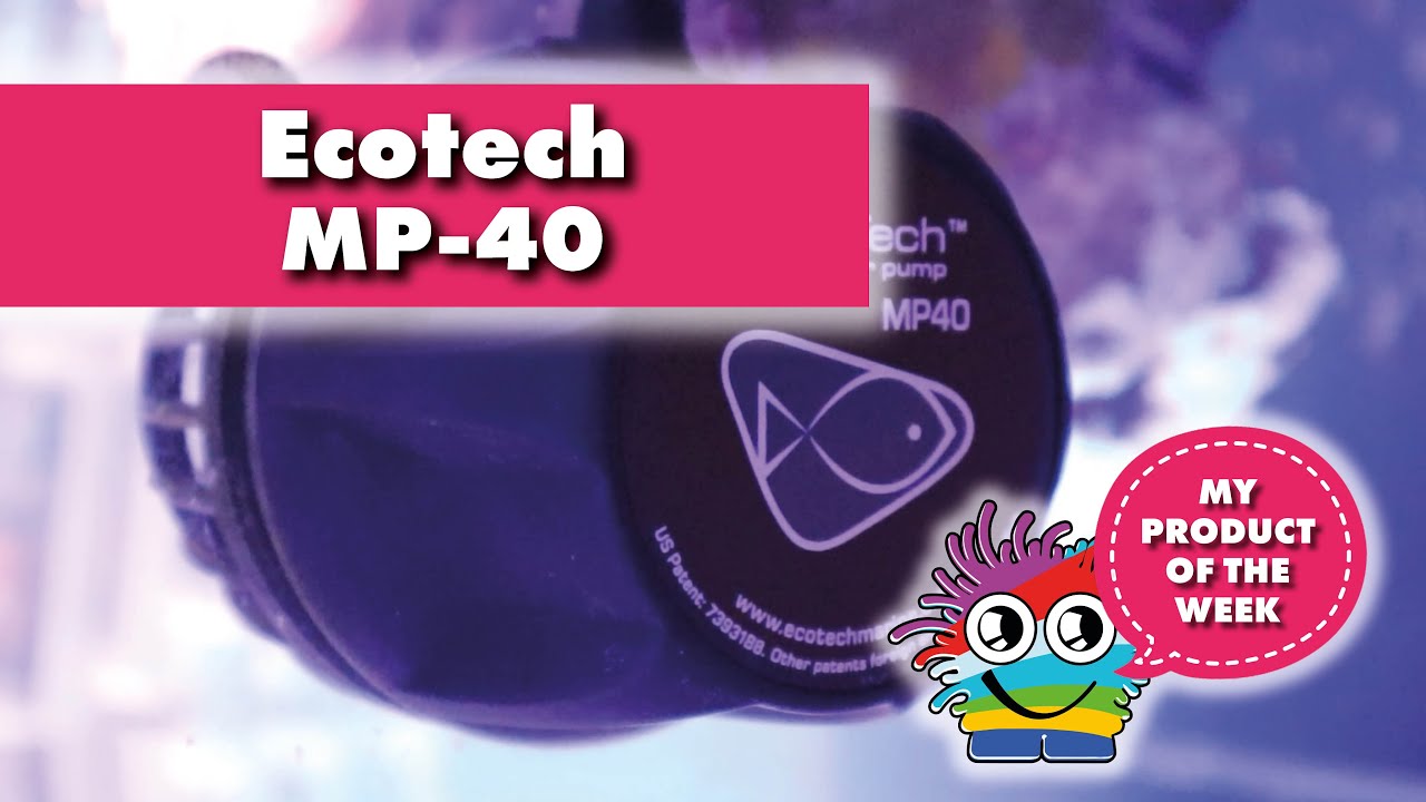 Product of the week. All you need to know about Ecotech Vortech MP40 ...