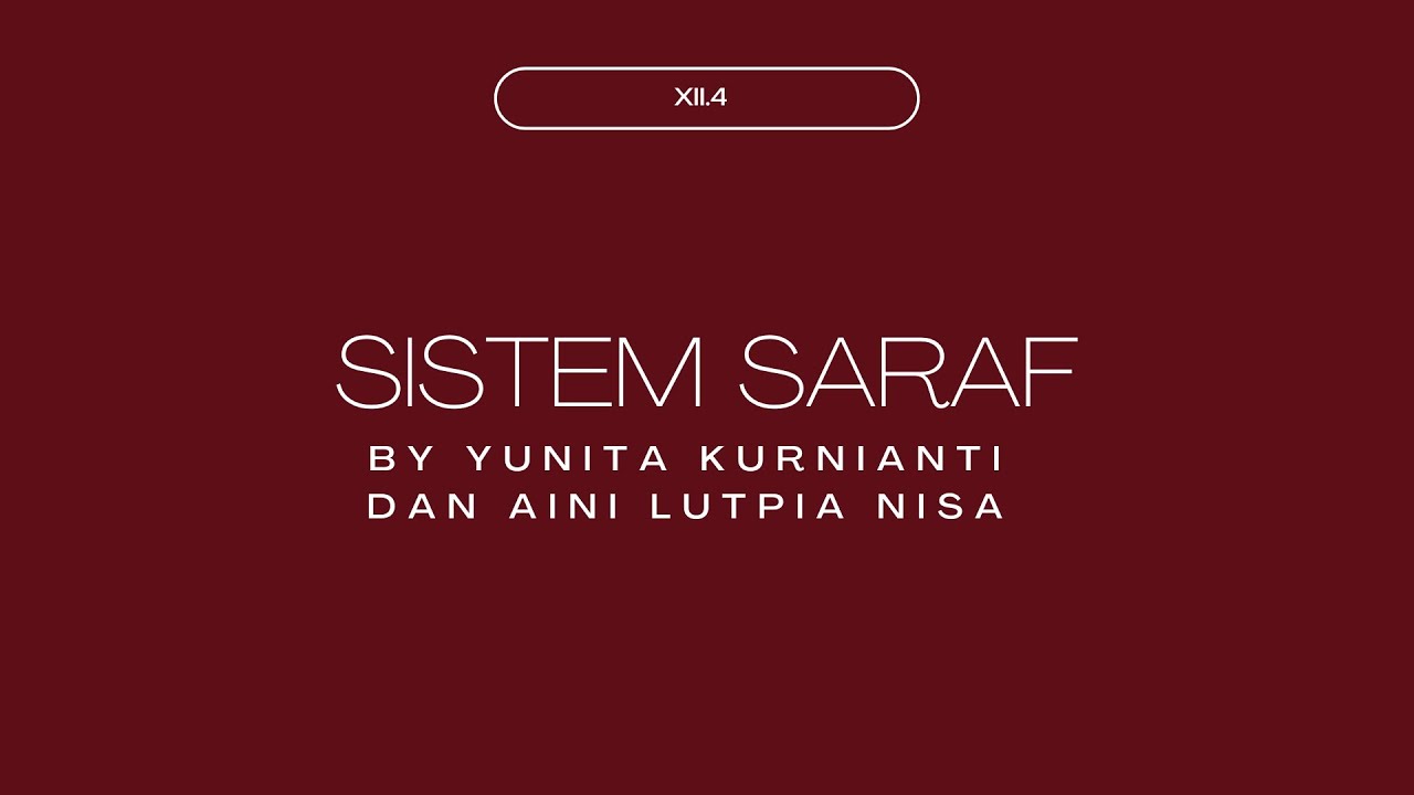 SISTEM SARAF - YouTube