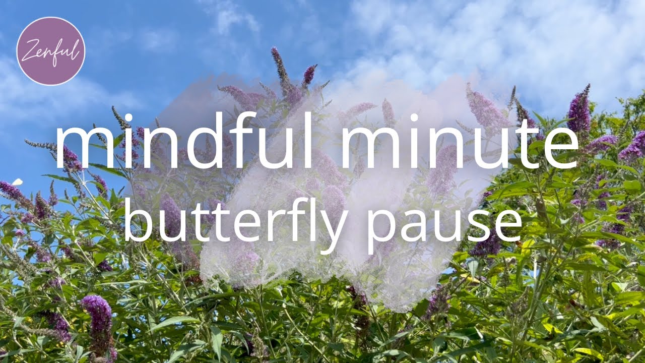 Butterfly Pause | Mindful Minute: Buddleia Calm (1 Minute Nature ...