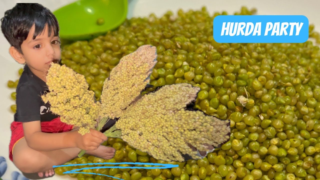 Winter special-Hurda Fry | Hurda Fry Recipe | Hurda Recipe | Tasty ...