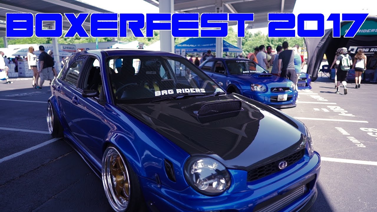 Boxerfest 2017 Aftermovie // Aesthetic Media - YouTube