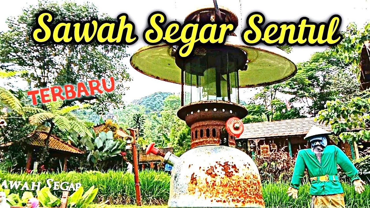 SAWAH SEGAR SENTUL l Wisata Kuliner Terbaru di Sentul Bogor. - YouTube