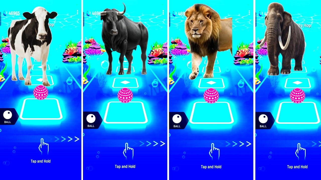 Funny Cow coffin 🆚 Funny Buffalo coffin 🆚 Funny Lion coffin 🆚 Funny ...