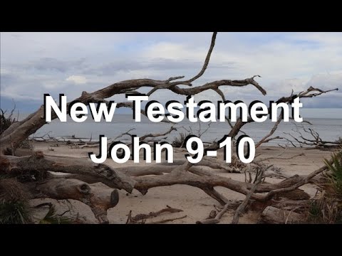 New Testament John 9 - 10 - YouTube