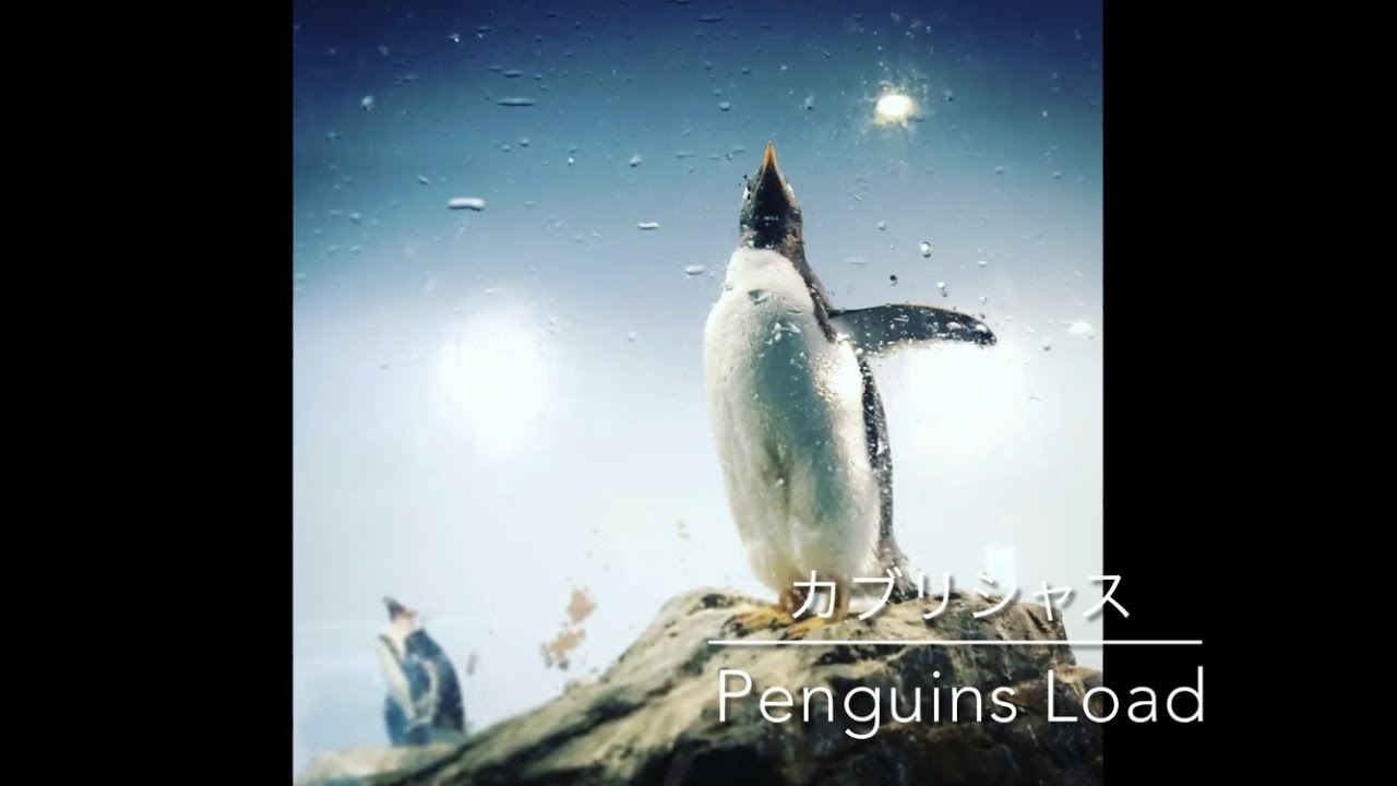 Penguins Load/カブリシャス(original) - YouTube Music