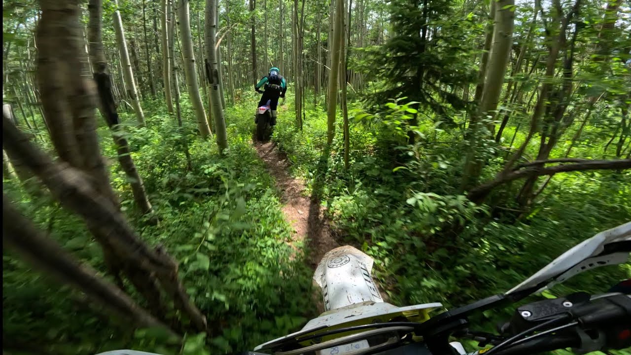 Weaving through the trees - YouTube