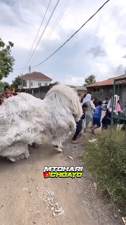 Bikin heboh Can Macanan kejar bocil ff - YouTube