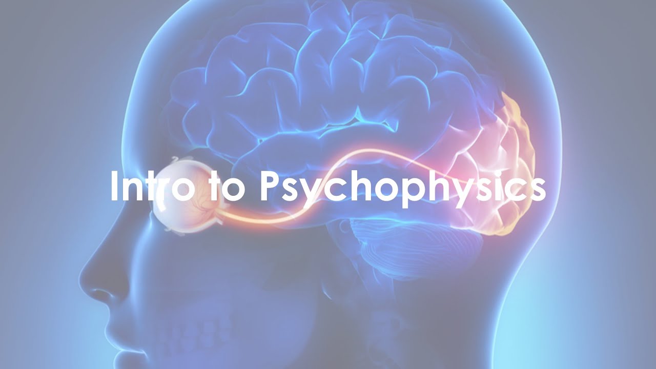 00. Intro to Psychophysics - YouTube