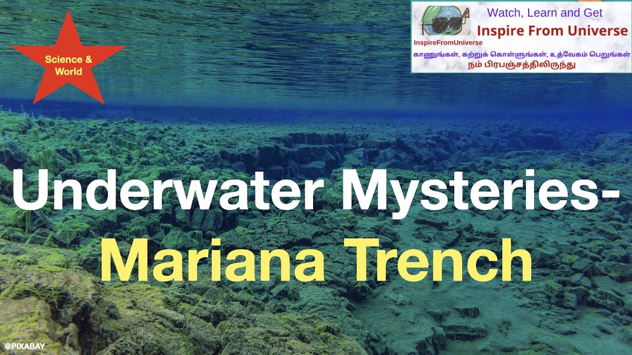 E32 Science & World: Underwater Mysteries- Mariana Trench - YouTube