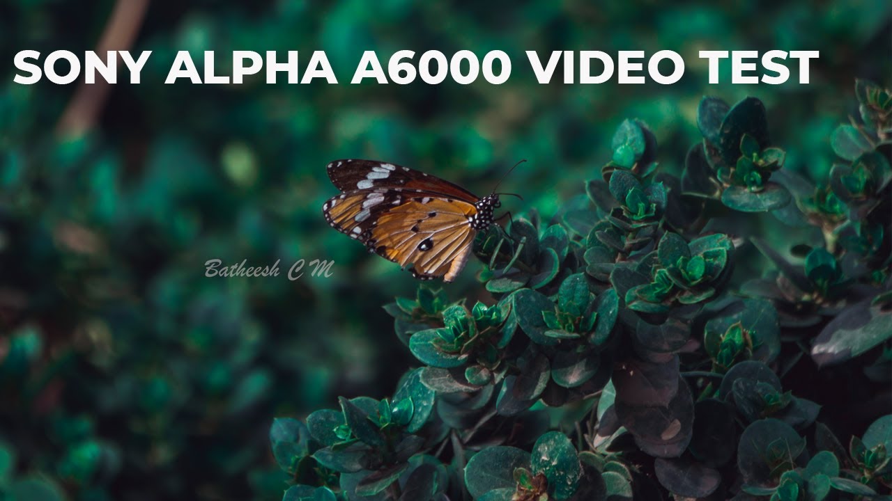 Sony Alpha A6000 Video Test - YouTube