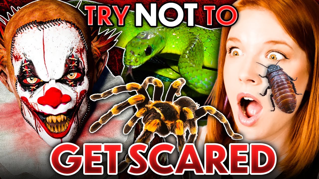 Try Not To Get Scared Challenge - Scariest Phobia Videos! - YouTube